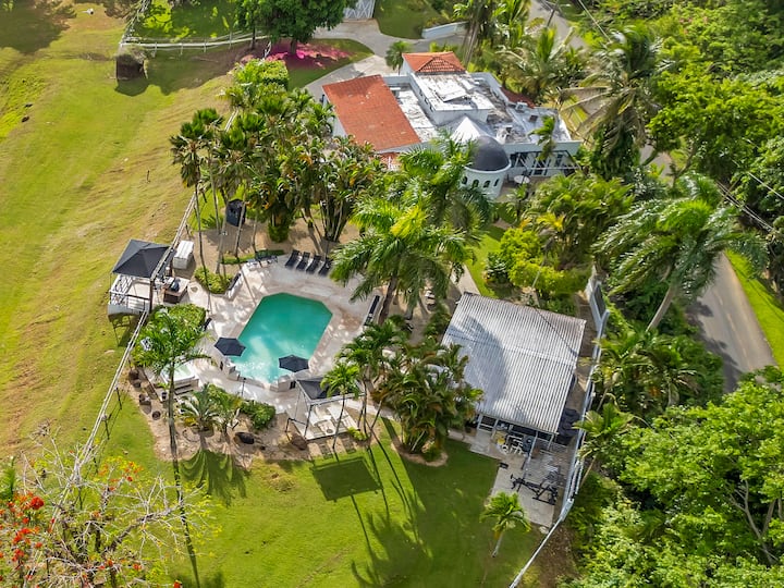 Hacienda La Cúpula • Resort Style Escape In Nature - Caguas