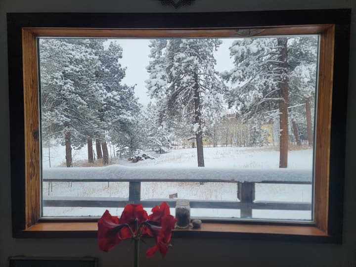 Cozy Mountain Cabin Getaway In Nederland (Shared) - Nederland, CO