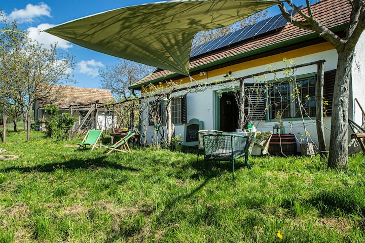 Kutyabarát, öNálló Présházak Közel A Balatonhoz - Siófok