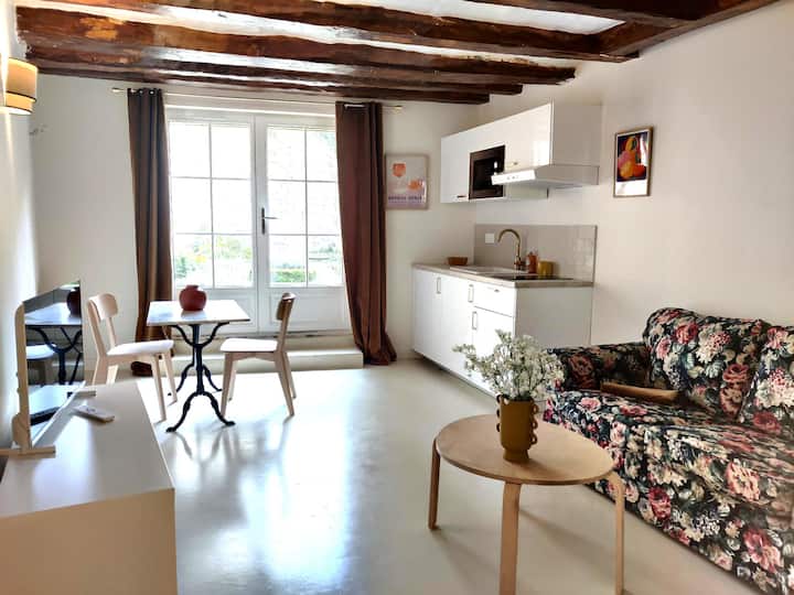 Appartement Tout Neuf Avec Jardin Plein Centre - Chinon