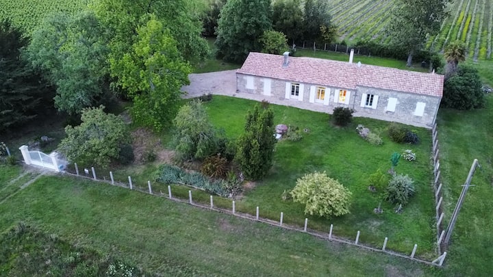 Maison Des Vignes 3*, 160 M2, 8 Pers, Parc 3000 M3 - Lesparre-Médoc