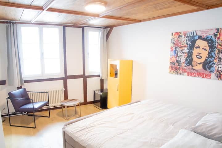 Stylish Room In 700 Year Old House | By The River - Basel