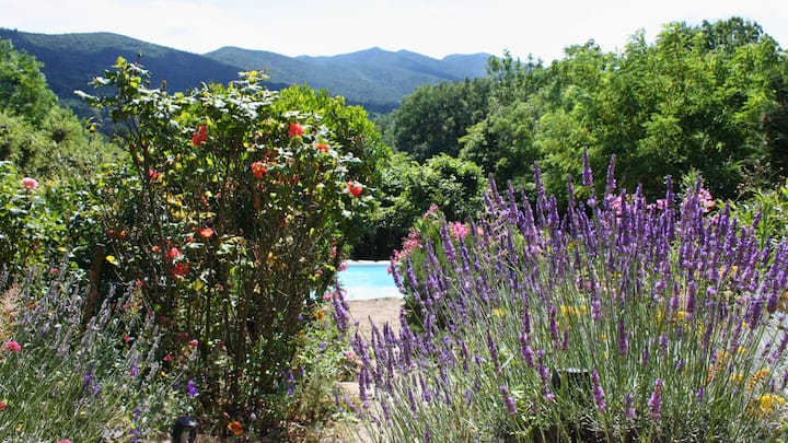 Villa Avec Vue Panoramique Et Piscine - Dieulefit
