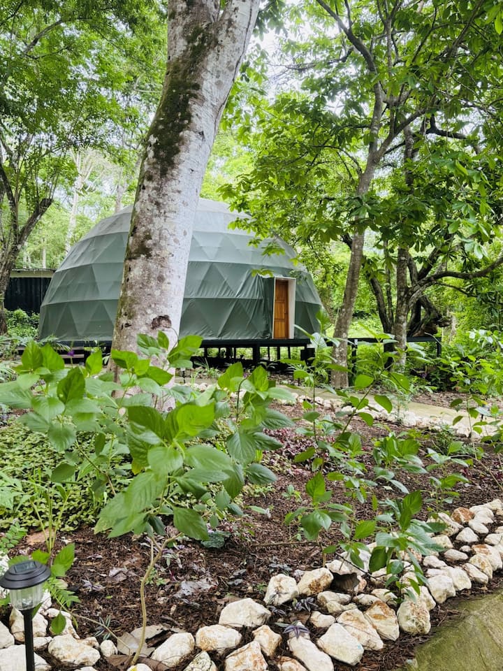Unique 8m Dome Near Beach | Domos 2 - Paquera