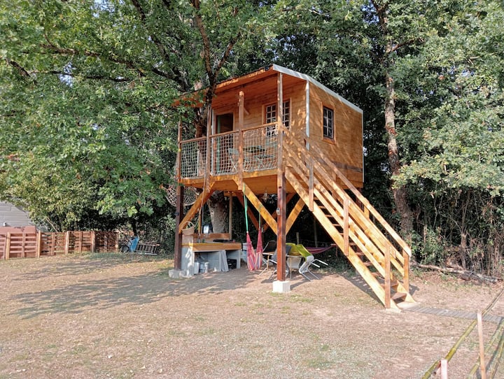 Cabane Perchée Et Le Chêne - Luynes