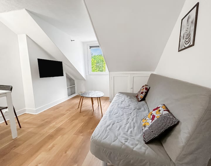 Douillet Studio Avec Wi-fi, Proche Transports - Tours