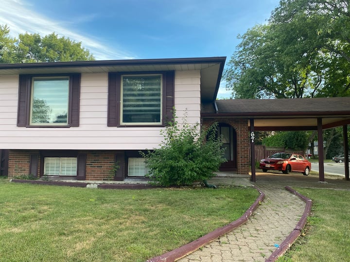 Family House - Hamilton