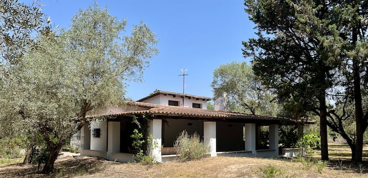 Villa Amedeo - Oristano
