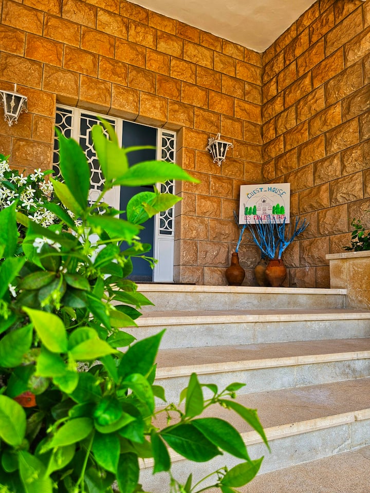 Les Filles De Papa Guest House - Lebanon