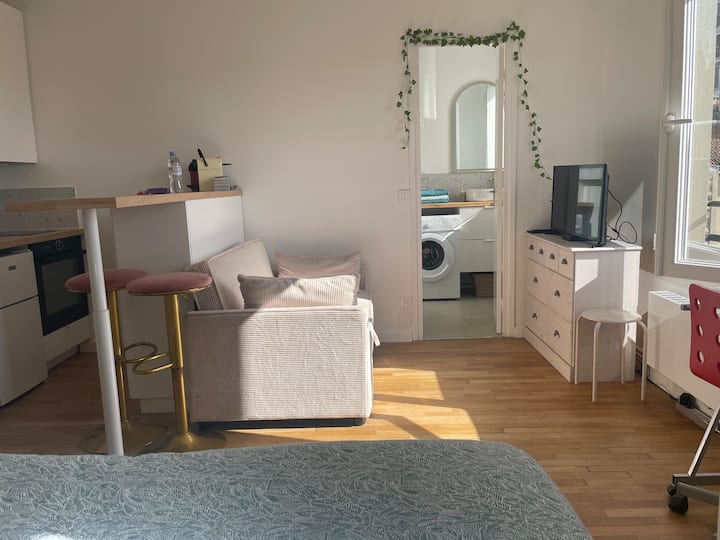 Studio Lumineux - ibis Styles Paris 16 Boulogne