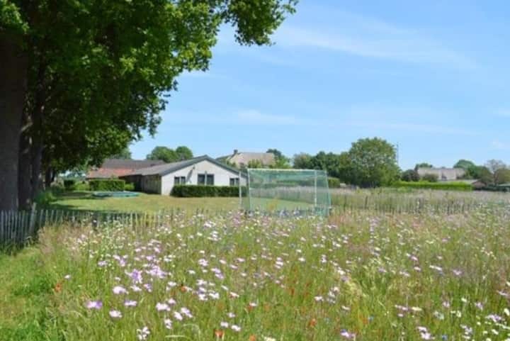 Close To Den Bosch: Special Modern House In Nature - 's-Hertogenbosch
