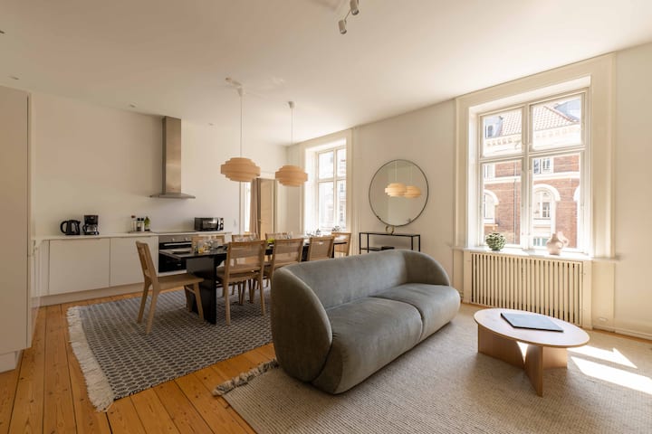 Classic Copenhagen Charm On Vesterbrogade - Copenhaguen