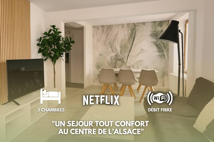 Greenhouse - Sejour Chaleureux Proche De Colmar - Horbourg-Wihr