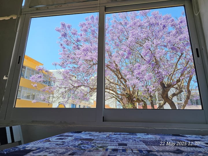 !Farensiya! Apartment With Ac Near Train Station - Faro