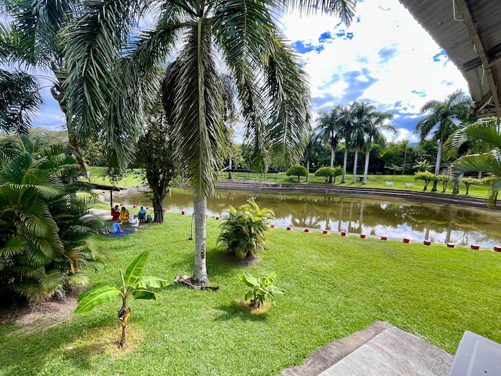 Míster Mojarra - 103 - Cartago - Colombia