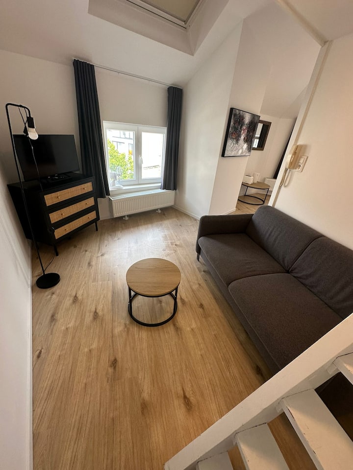 Spacious Mezzanine Apartment - Bruselas