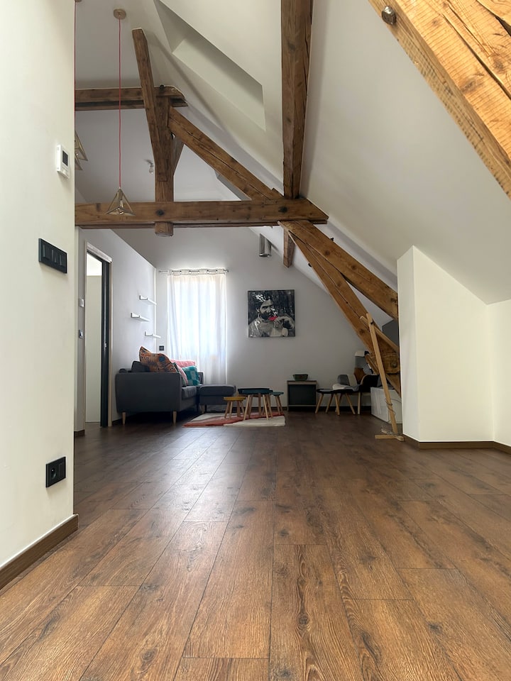Chic Et Cosy Avec Clim, Au Pied Du Mont-blanc - Sallanches