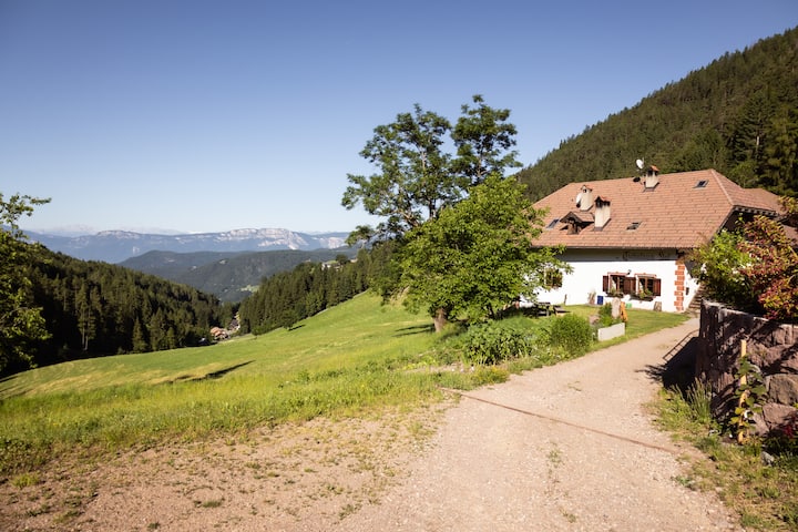 Tschafaunhof - Bolzano