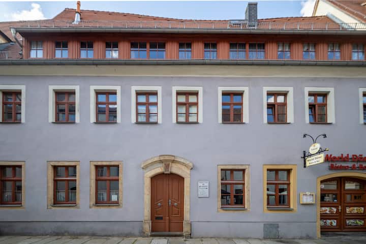 Big House, 5 Apartments In Old Town With Garden - Freiberg