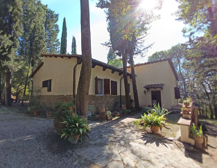 Macchiaioli Del Chianti - Radda in Chianti