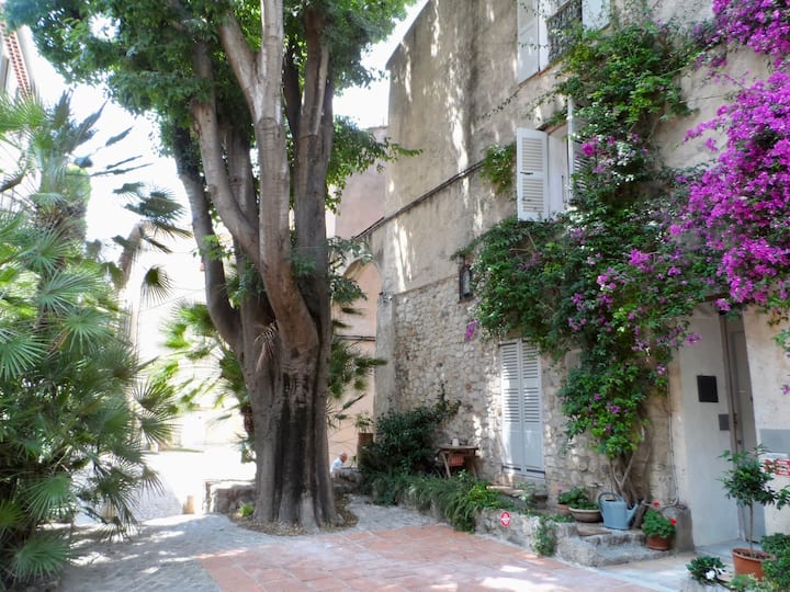 2 Bedrooms / 2 Bathrooms - Prestige & Charm - Juan les Pins