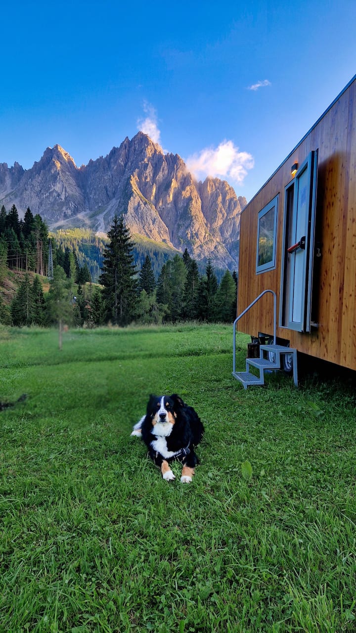Vivere L'autunno Tra I Prati Di Sappada - Sappada