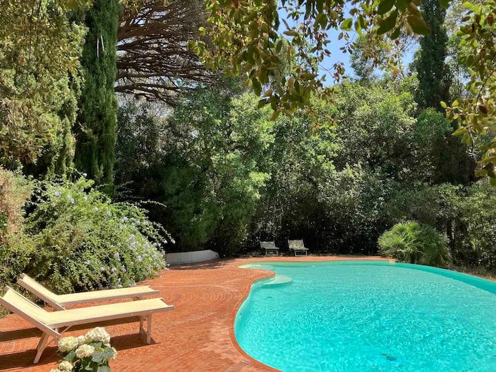 Brenda Authentique Roulotte Provençale - Ramatuelle