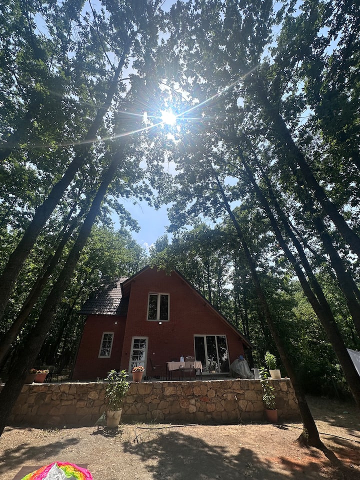 Forest Villa, Gjilan – Nature, Comfort & Privacy - Kosovo