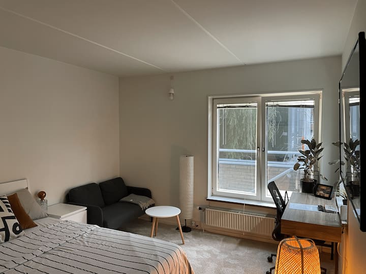 Apartment In Copenhagen Marina+2 Bikes+1 Paddle - Copenhagen