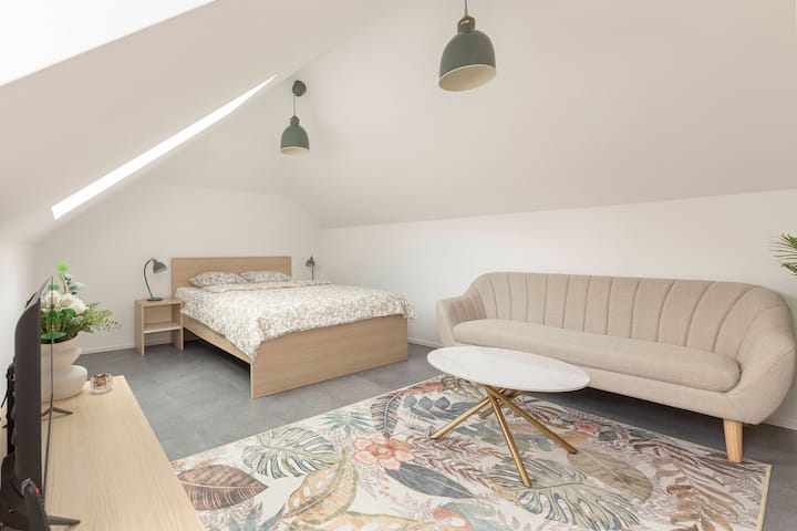 Rožnik Room For Two | Shared Bathroom&kitchen - Ljubljana