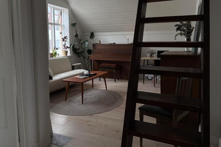 Cosy Flat In Downtown Reykjavík - Reikiavik