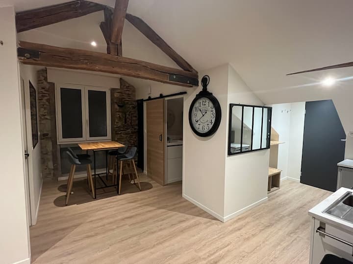 Appartement Neuf Et Calme Hypercentre Proche Gare - Angers