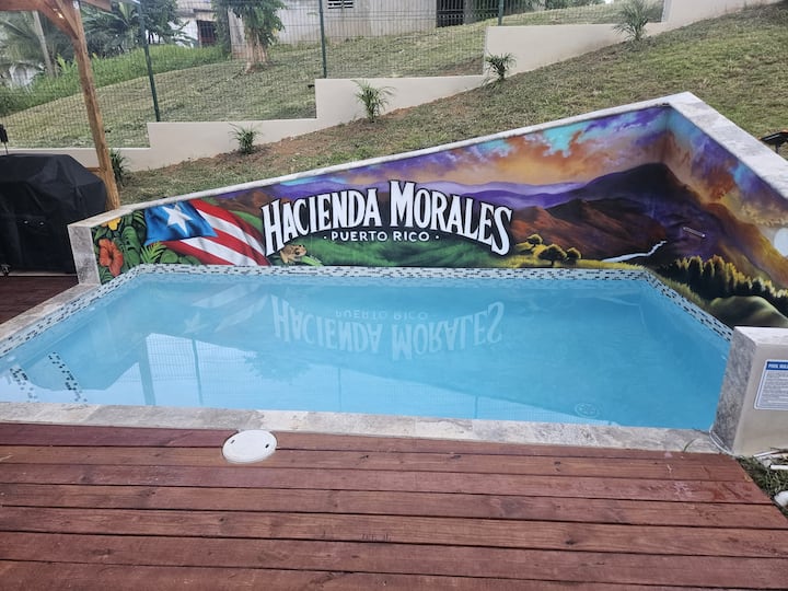 Rustic Retreat- El Yunque View, Pool And Game Room - Puerto Rico