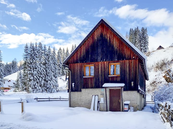 Familienidyll – Garten, Kamin, Natur, Ski, Wandern - Austria