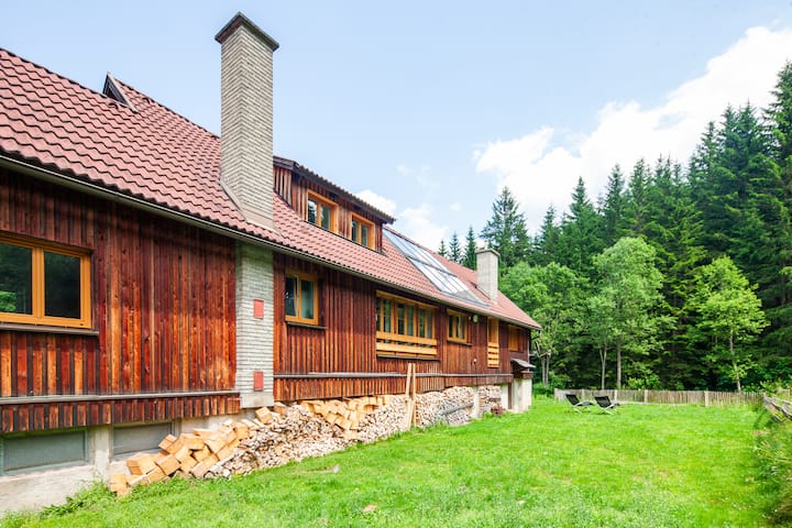 Familienidyll In Ruhiger Lage: 140 Qm Chalet - Austria