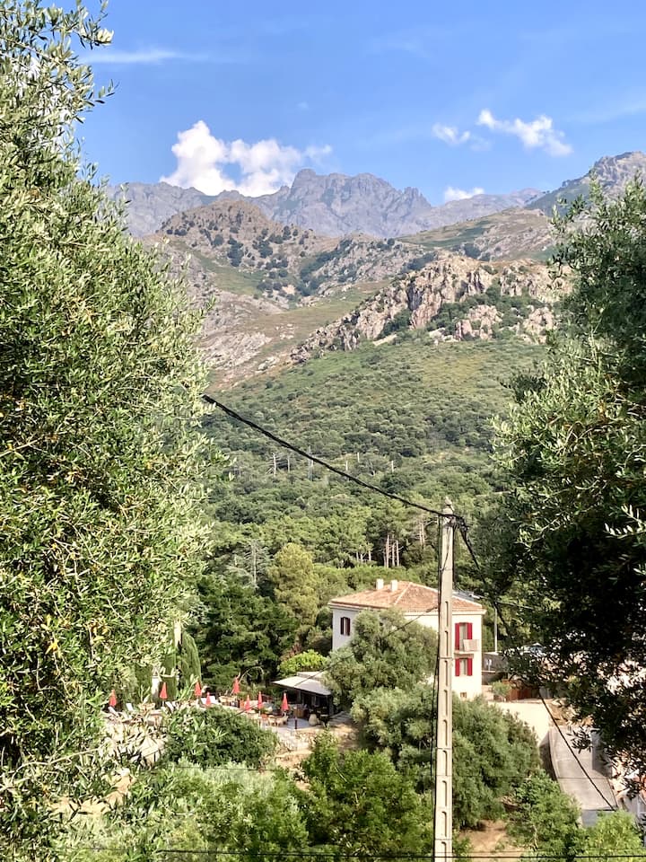 Nid De Verdure à Proximité Des Plages Et Du Gr20 - Calenzana