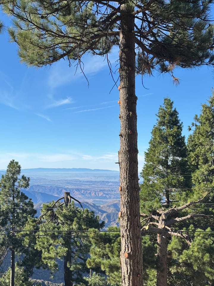 Cozy View Cabin - Running Springs