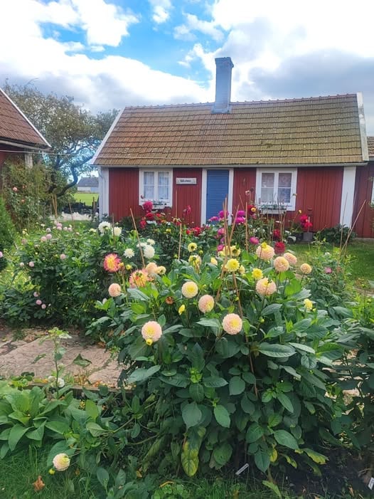 Torp on Öland Torp near Gårdby - Cabins for Rent in Torp, Kalmar län ...
