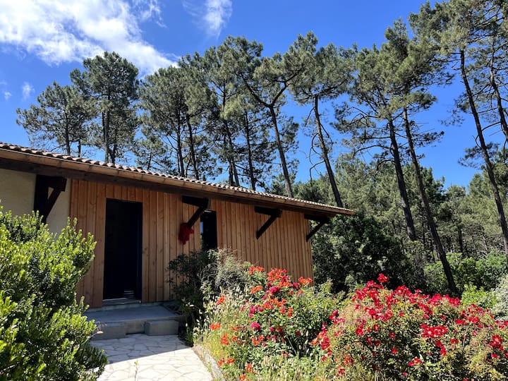 Lacanau Lac Et Forêt, Maison Familiale Climatisée - Lacanau