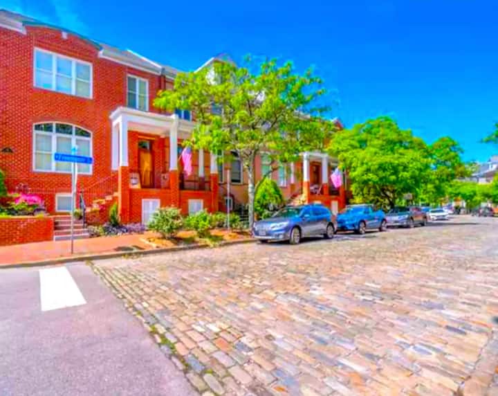 Downtown Norfolk Spacious Apartment W/city View - Norfolk, VA