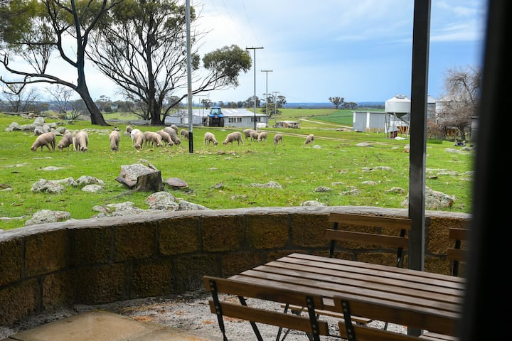 Gumnut Cottage - Narrogin