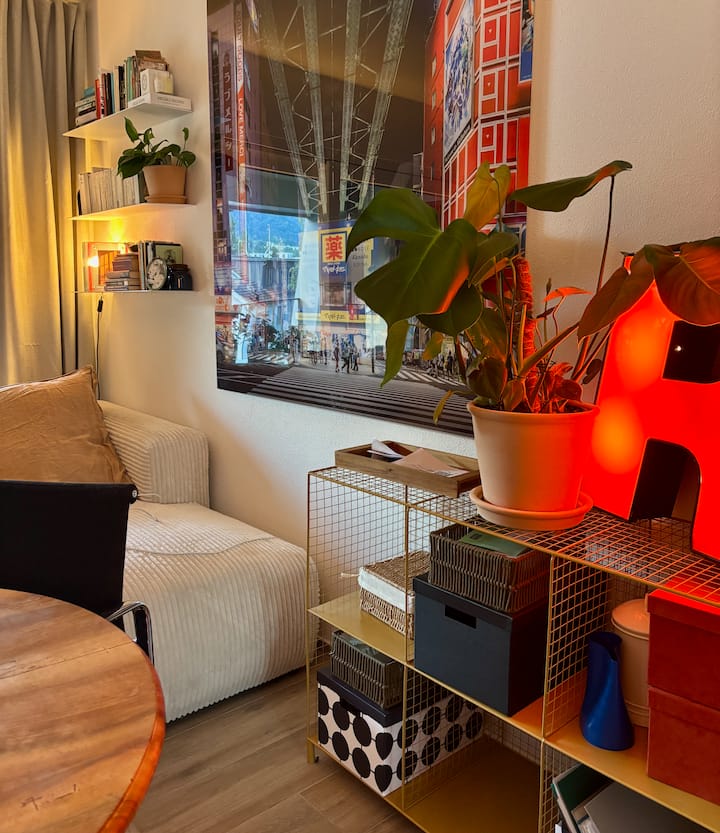 Cozy Air Conditioned Apartment - Zurique