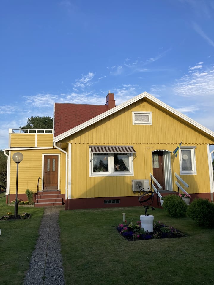 Brynolf I Bölse - Falkenberg