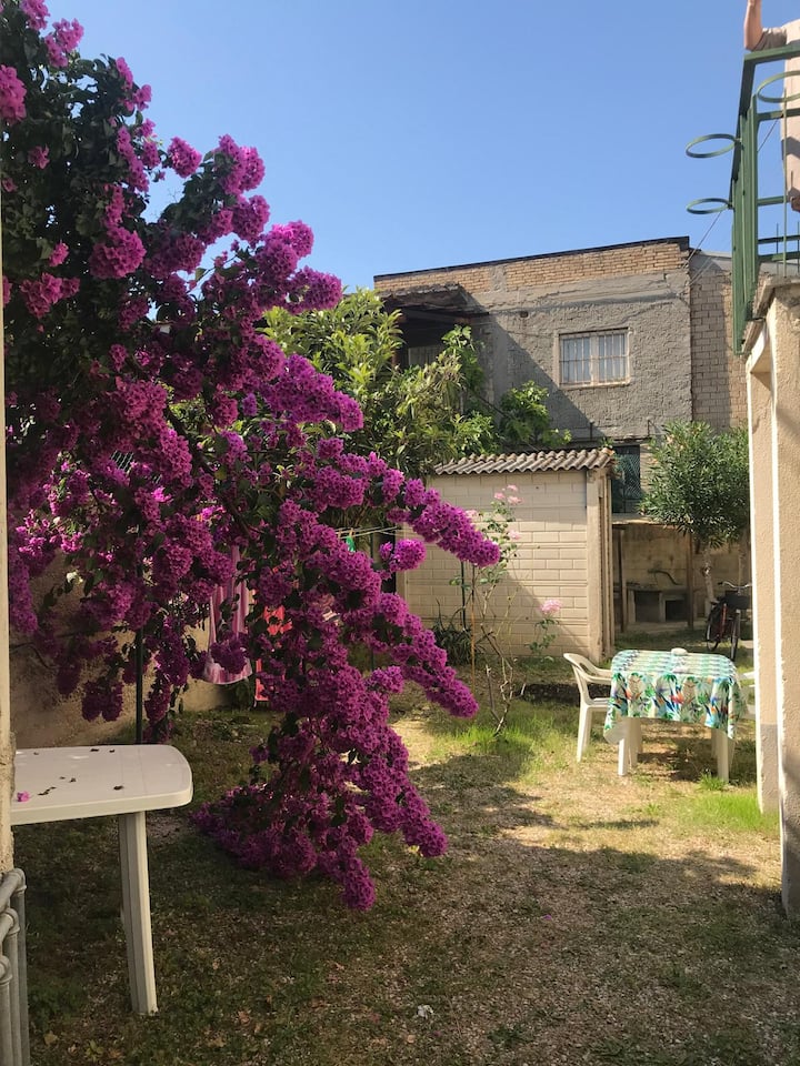 Appartamento A 50mt Dal Mare - Cupra Marittima