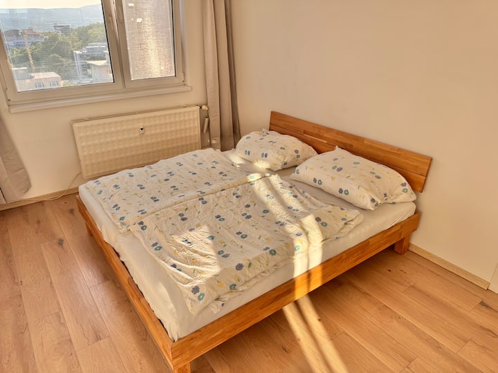Spacious 4-person Apartment - Bratislava