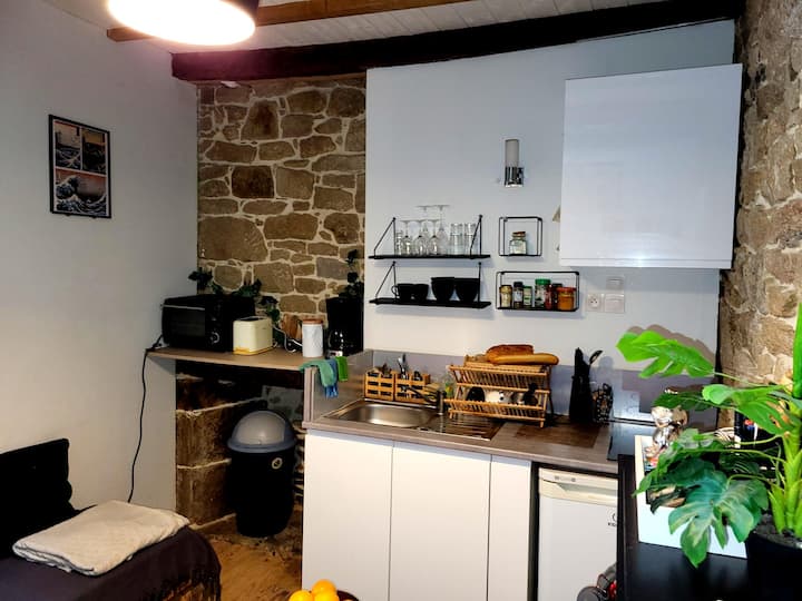 Logement Lumineux Hyper Centre - Quimper