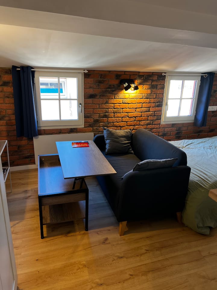 Studio Sous Les Toits 150m Cathédrale - Aude