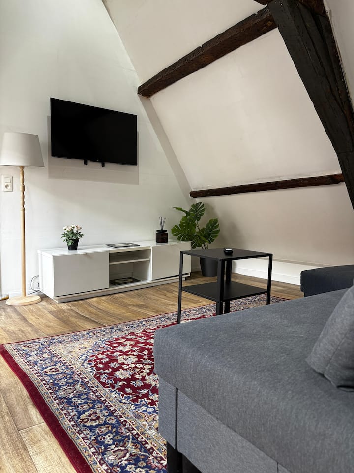 Comfortable Canal-view 2br Apartment In Ghent - Ghent (Belgium)