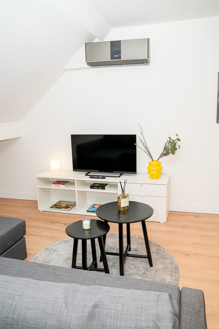 Pet Friendly 1br & 1lr Apt; 15- Min Walk To Rabot - Ghent (Belgium)