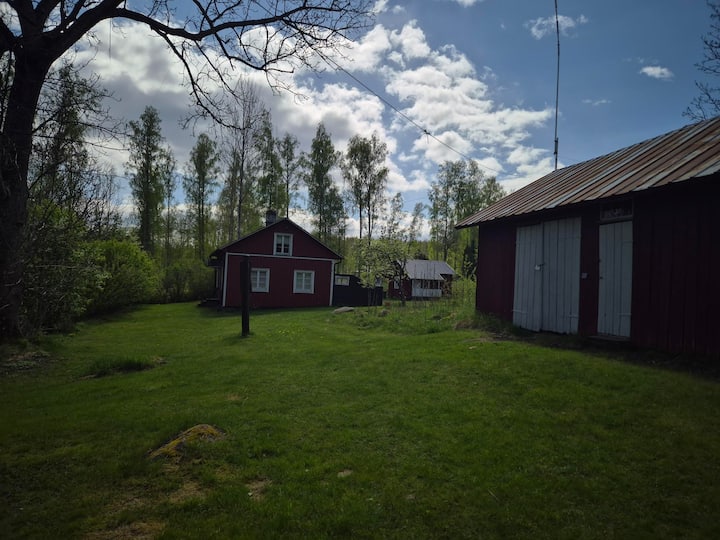 Glava  Arvika, Stretsbol - Arvika